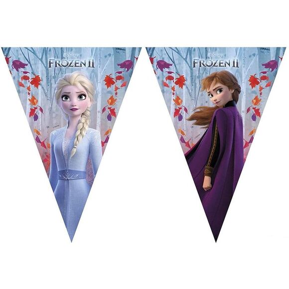 Frozen | Art | Frozen 2 Triangle Flags Banner Blue | Poshmark